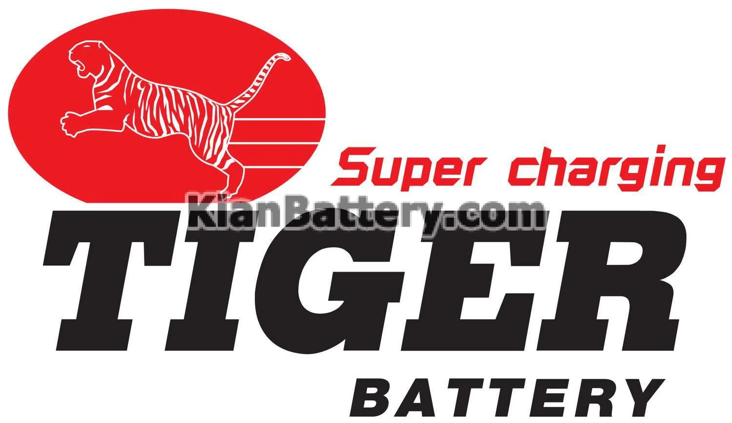 باتری تایگر Tiger | خرید و قیمت باتری ماشین با ارسال فوری، فروش باطری خودرو